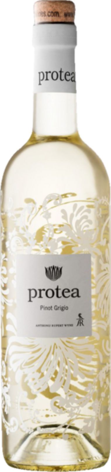 Protea Wines – Meridian Wine Merchants