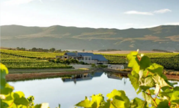 Five more wine farms attain WWF Conservation Champion status – Meridian ...
