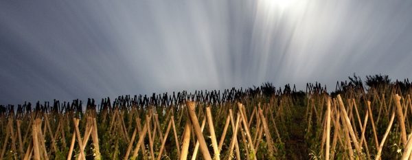 Meridian Wines Merchant's Journey – Meridian Wine Merchants