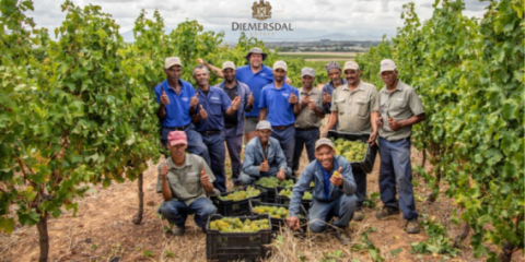 Meridian Wine Merchants