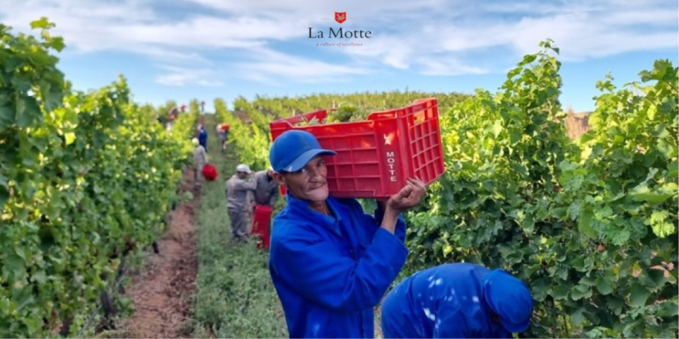 Meridian Wine Merchants